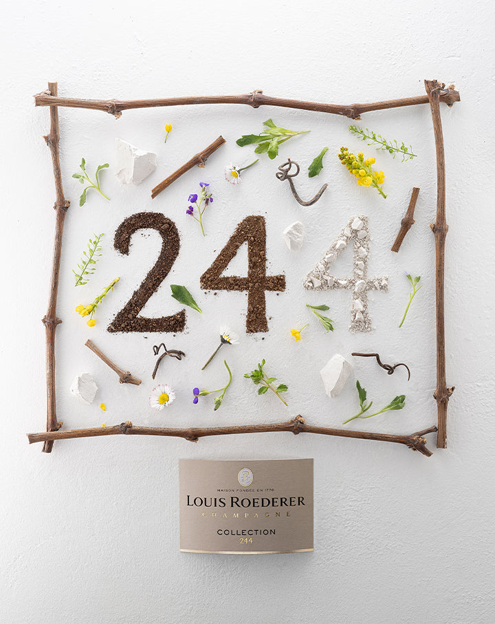 Louis Roederer Collection 244: Champagne Excellence Under $60
