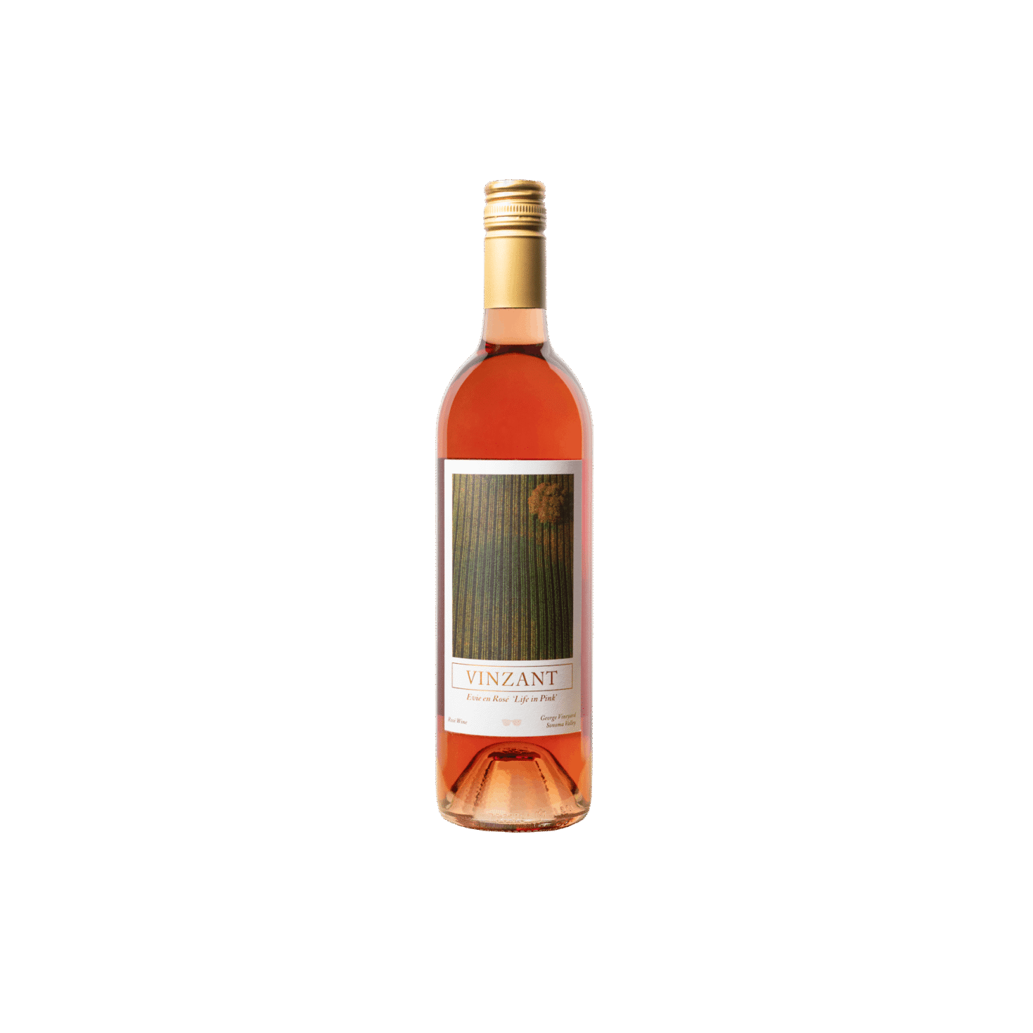Vinzant Evie en Rose NV